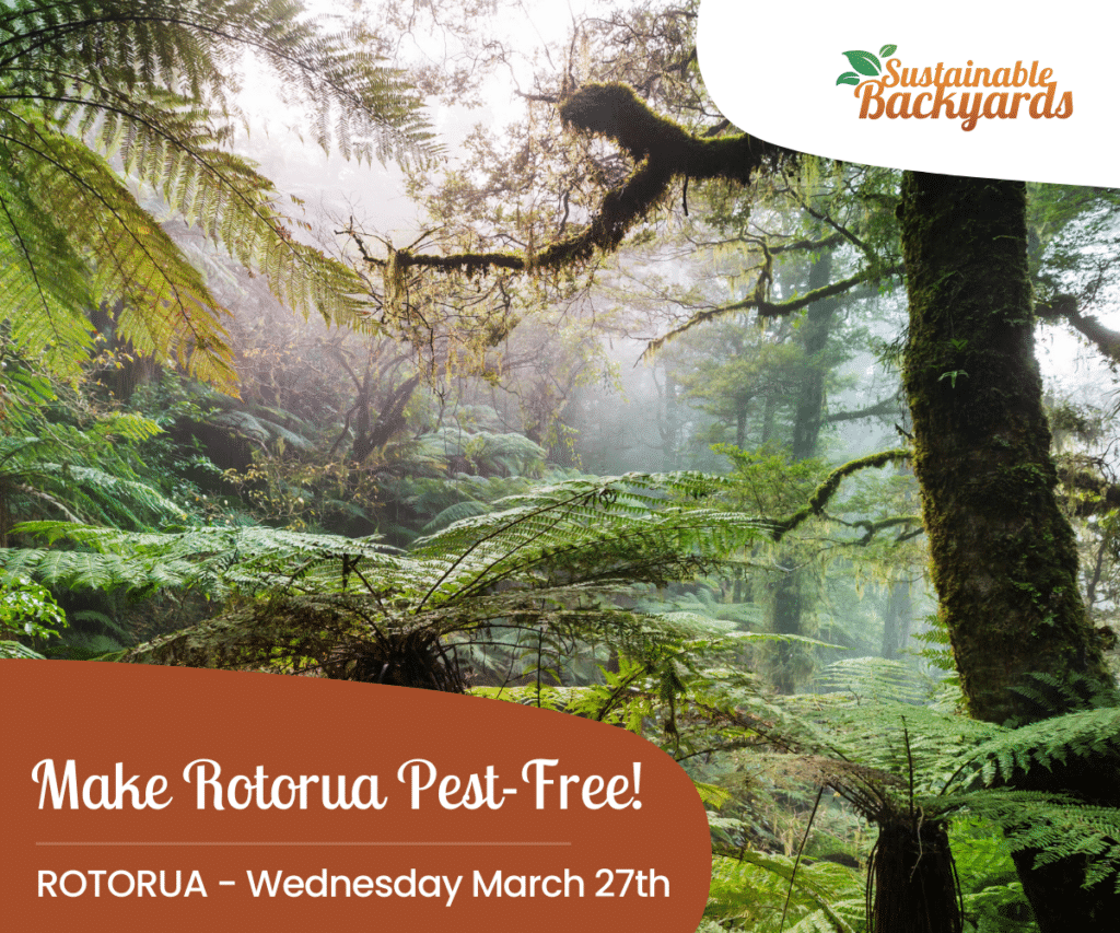 EnviroHub Bay of Plenty – Sustainability Events