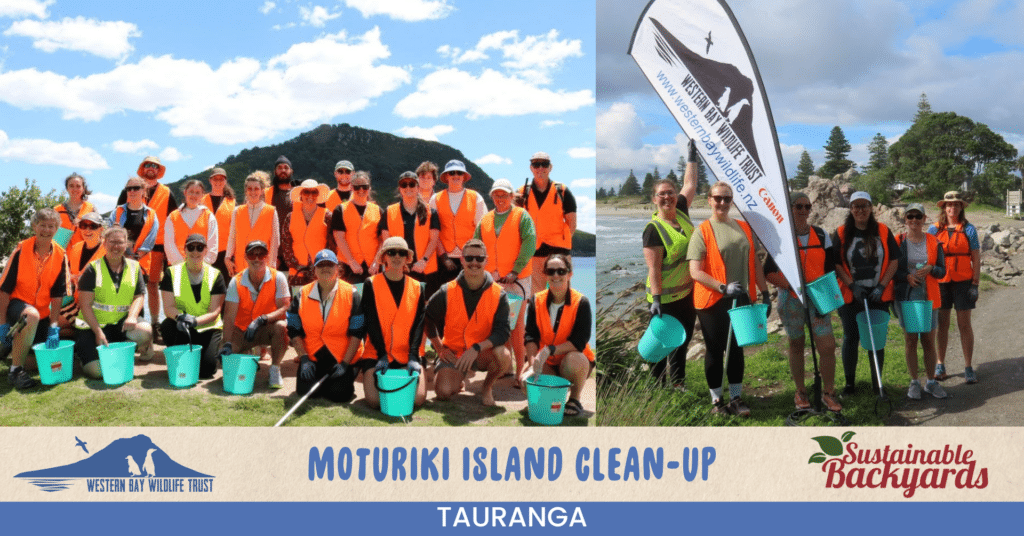 EnviroHub Bay of Plenty – Sustainability Events